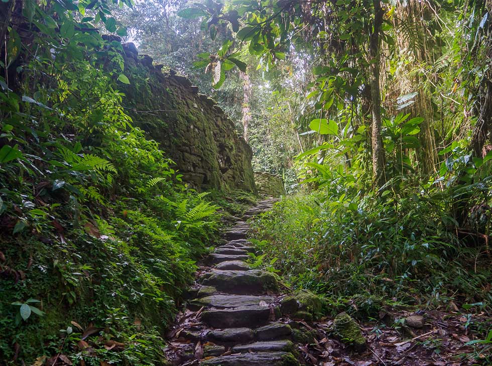 Ciudad Perdida Tour | Eco Hotel Finca La Jorará | Lost City Tour Colombia