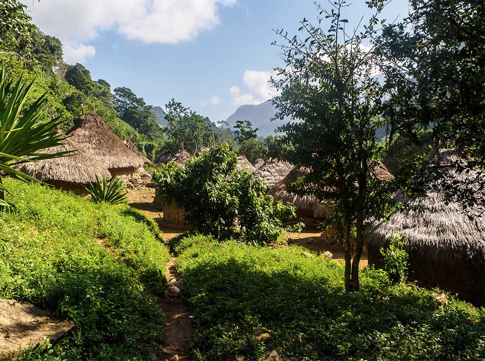 Ciudad Perdida Tour | Eco Hotel Finca La Jorará | Lost City Tour Colombia