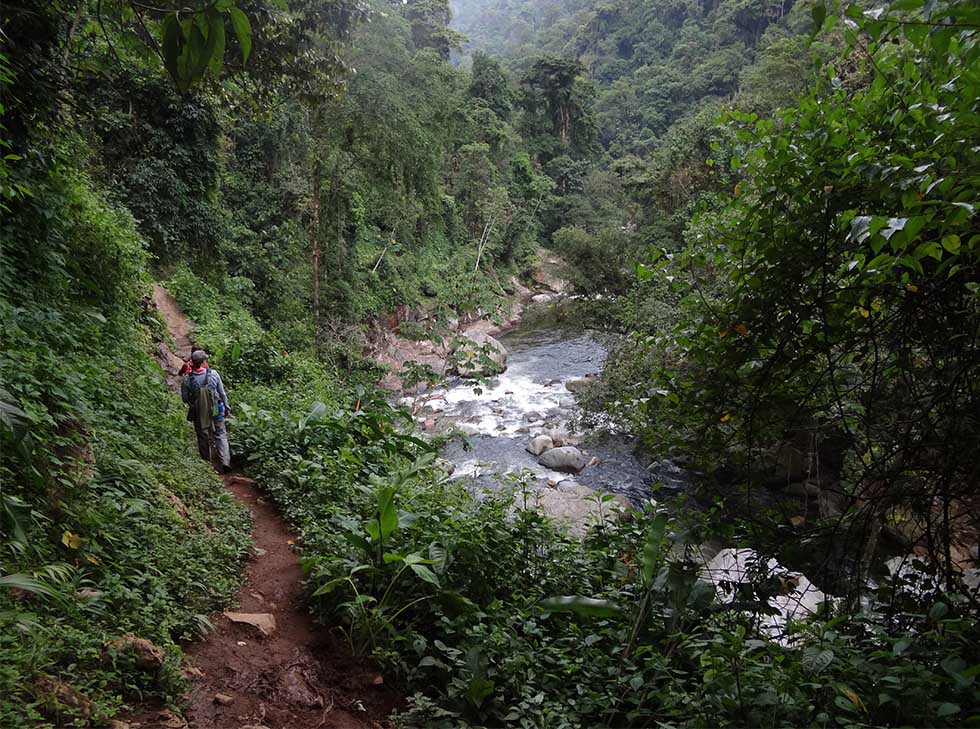 Ciudad Perdida Tour | Eco Hotel Finca La Jorará | Lost City Tour Colombia