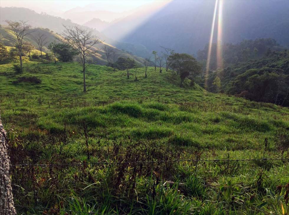 Ciudad Perdida Tour | Eco Hotel Finca La Jorará | Lost City Tour Colombia